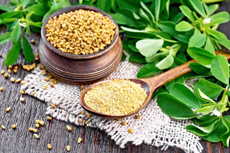 Feno Grego: O que é? Como cultivar?